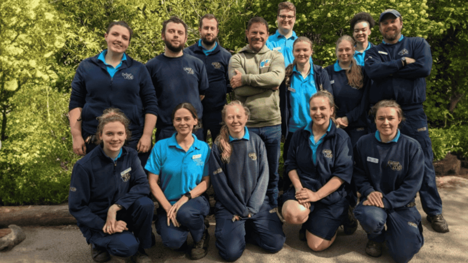 Rare Onager Foal Born at Chester Zoo Sparks Conservation Hope - Animals ...