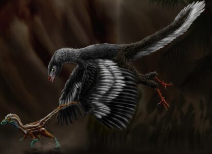 The Dinosaur Fossils That Changed Our Understanding of Prehistory ...