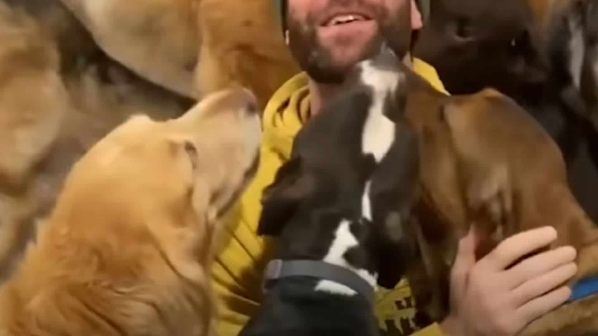 Dog Returned To Shelter With Uncontrollable Aggression Finds A New ...