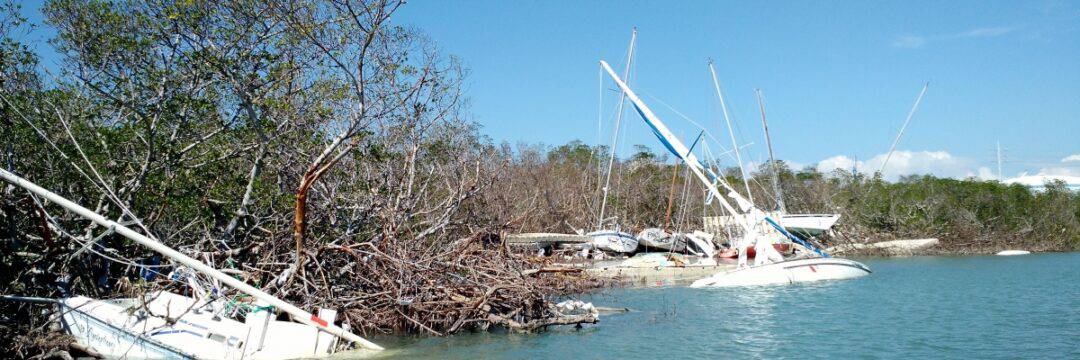 “Life-Threatening”: Tropical Storm Helene Approaching Florida - Animals ...