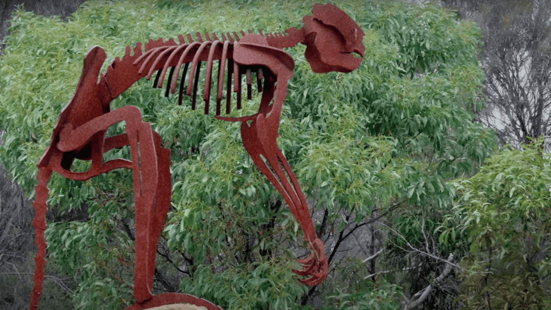 Million Year Old Prehistoric Kangaroo Discovered in Australia