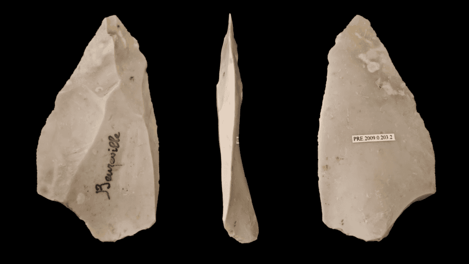 Neanderthal Discovery In France Sheds Light On Their Extinction