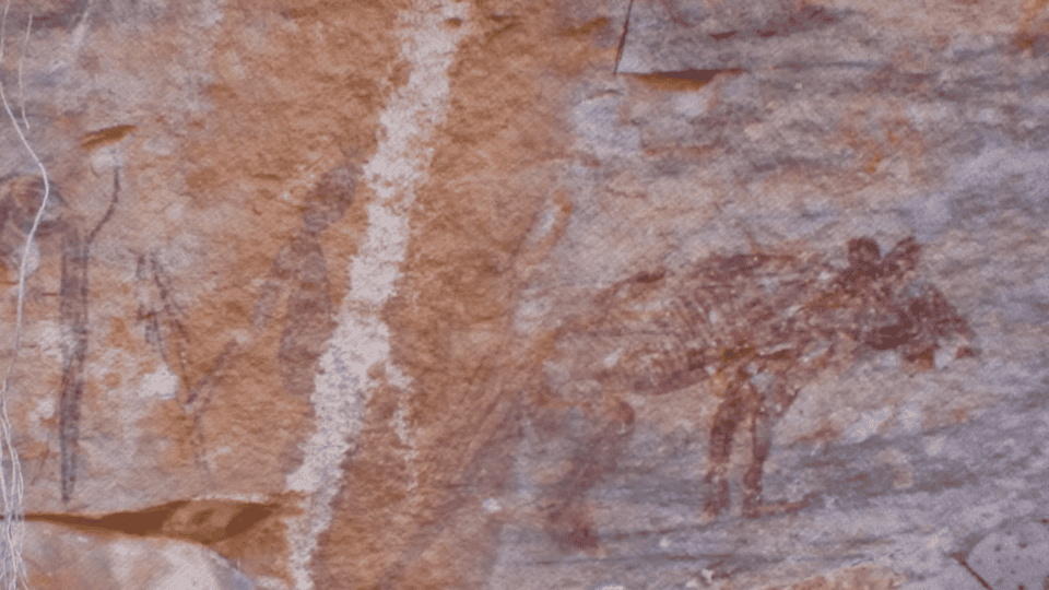 Million Year Old Prehistoric Kangaroo Discovered in Australia