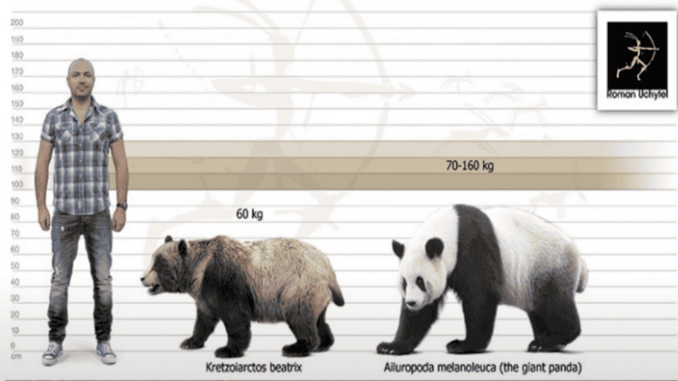 11 Million Year Old Giant Panda Ancestor Discovered In Germany