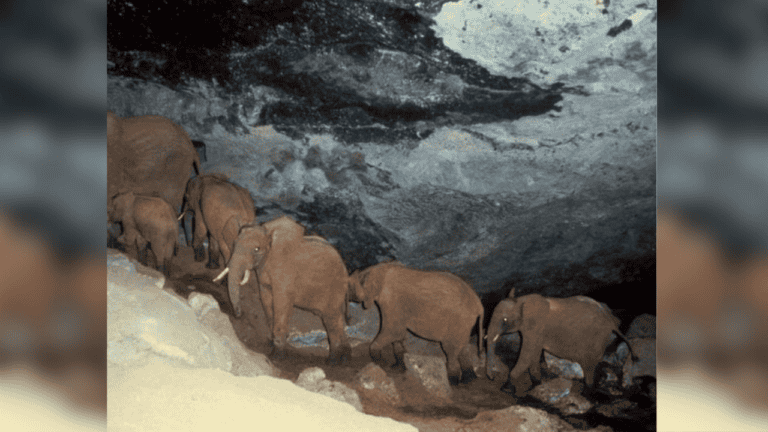The World’s Deadliest Cave is Not Home to A Scary Beast, But Something ...