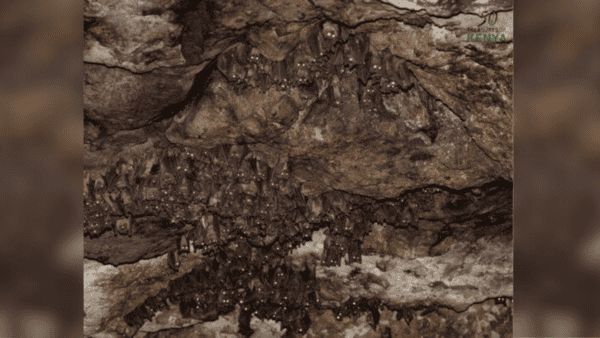 The World’s Deadliest Cave is Not Home to A Scary Beast, But Something ...