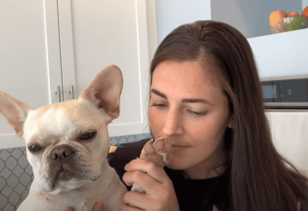 Why Your Dog's Paws Deserve More Attention