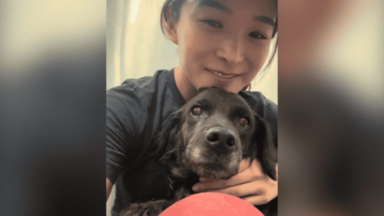 Woman Shocked by Familiar Face on Shelter's Euthanasia List - Animals ...