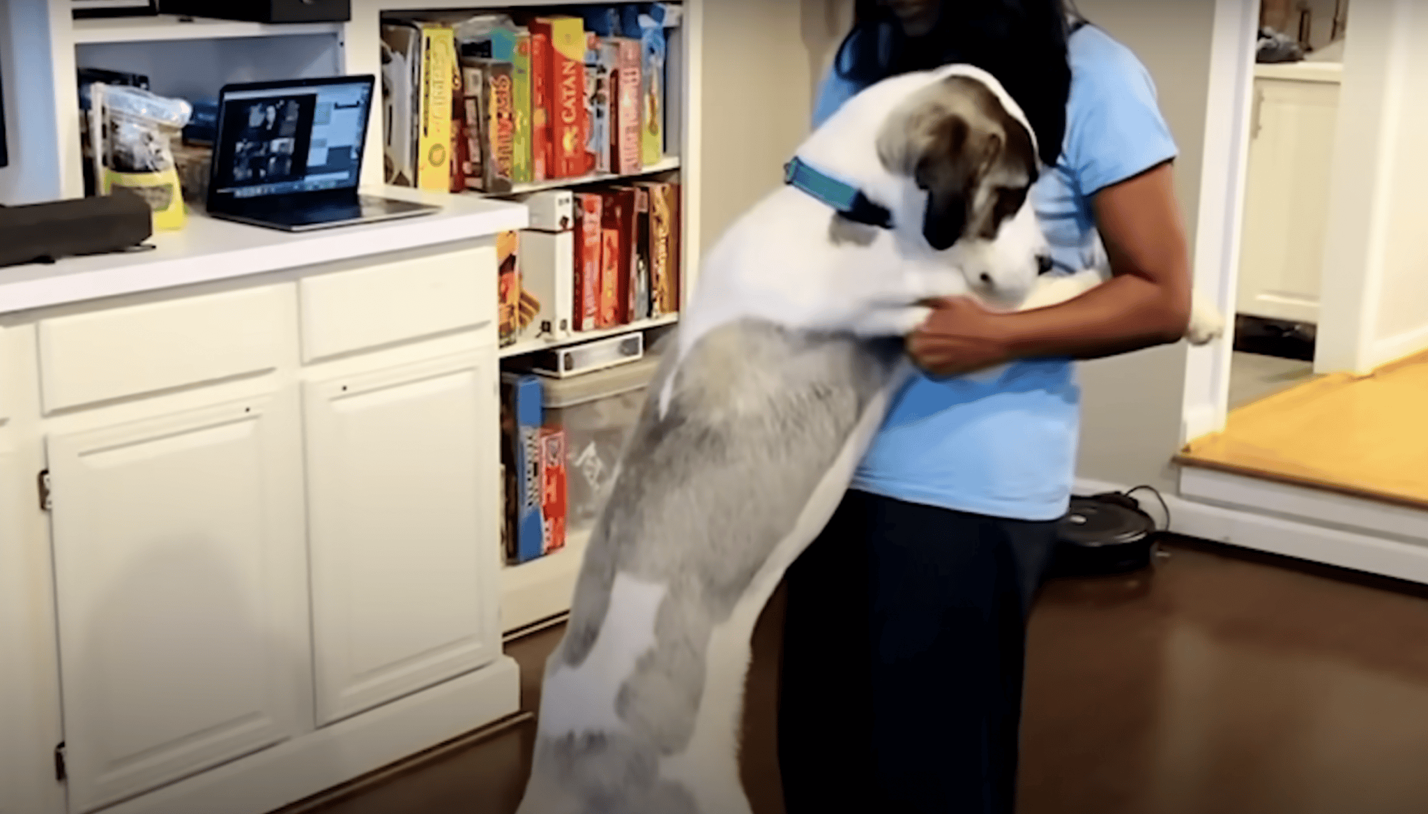 Dog Living in a Crate For 6 Years Freaks Out Over Her First ...