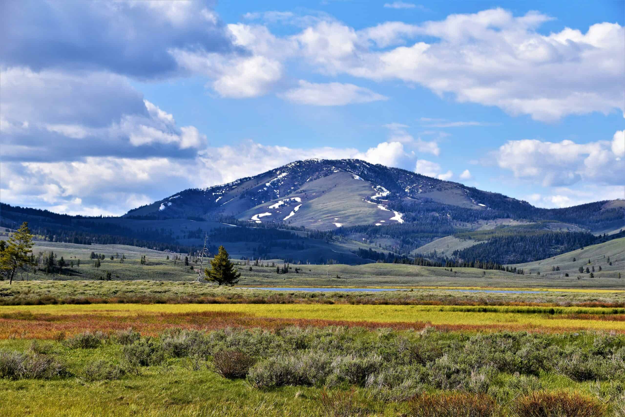 13 Most Mysterious Places Where Animals Rule in the U.S. - Animals ...