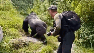 25 Crazy Animal Moments Ranked From Mild to Wild. No One Can Deny #1 ...