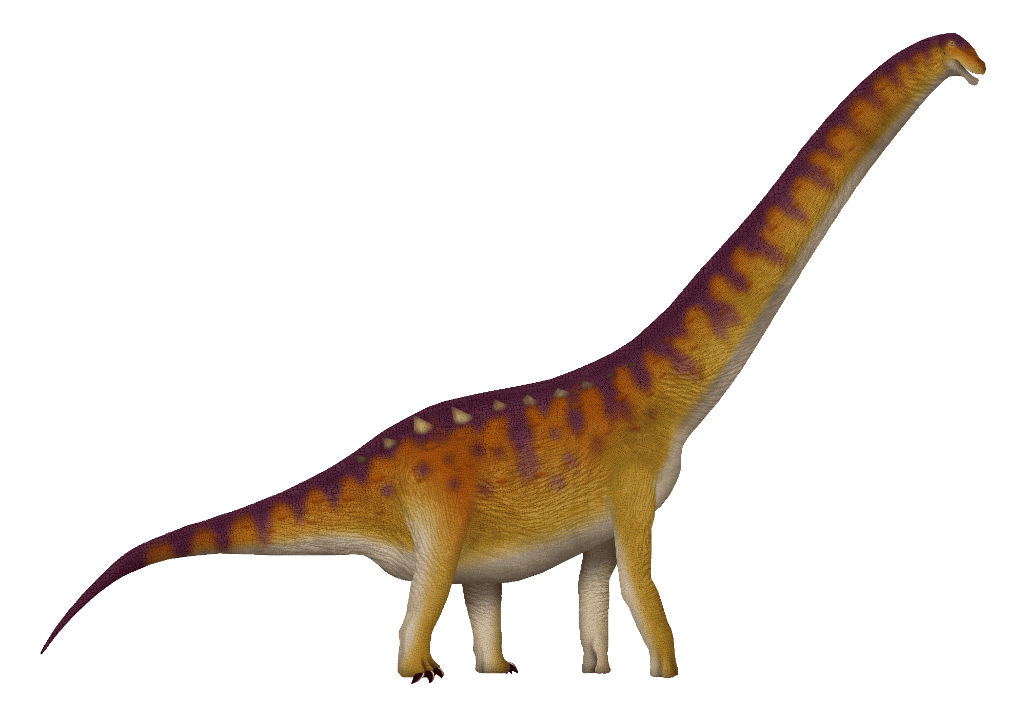 New Sauropod Dinosaur Discovered on the Iberian Peninsula - Animals ...