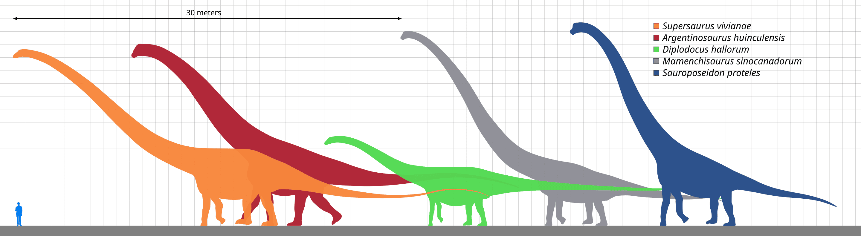 New Sauropod Dinosaur Discovered on the Iberian Peninsula - Animals ...