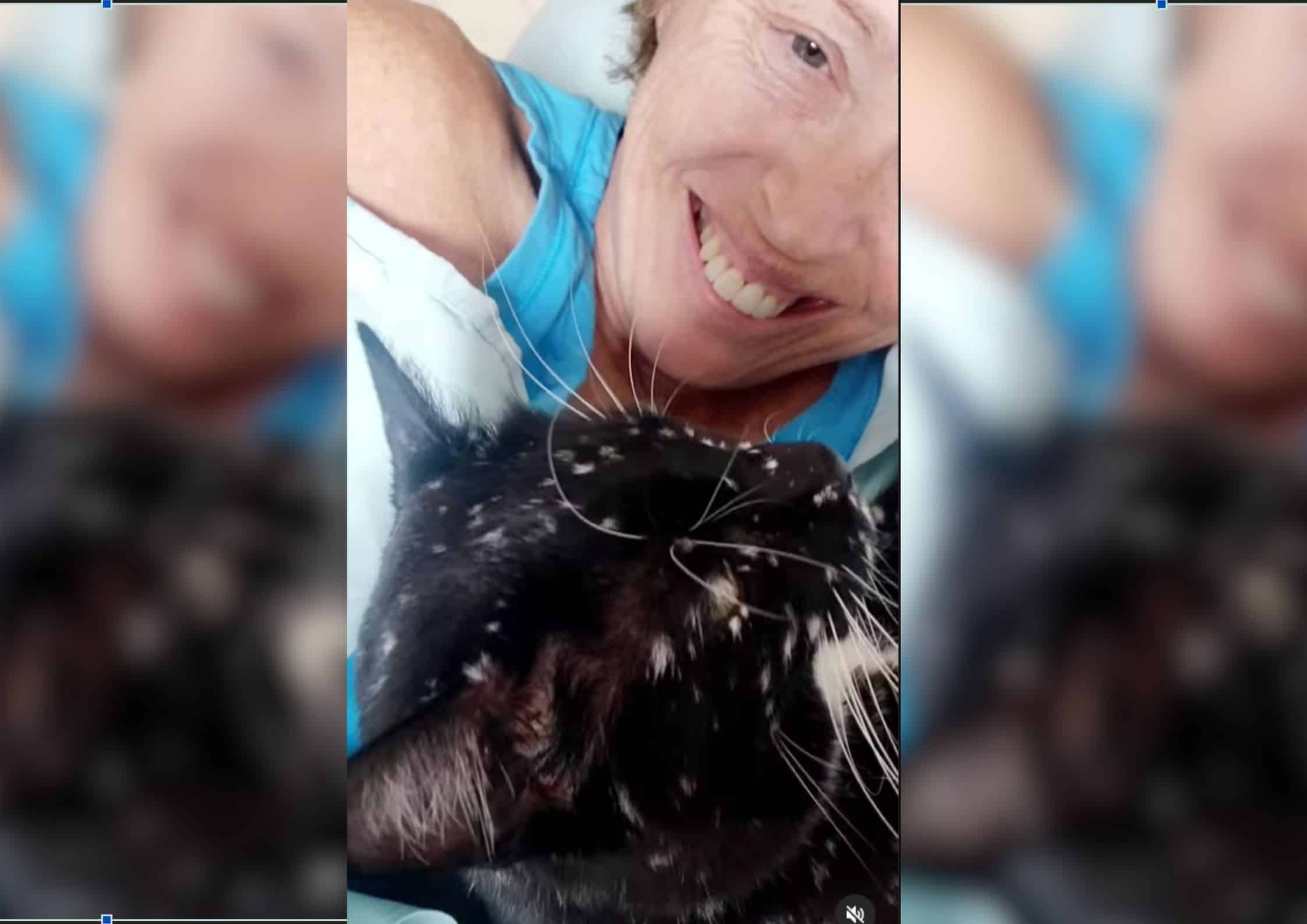 Meet Gatsby, the Cat With Fur That Shines Like a Galaxy of Stars