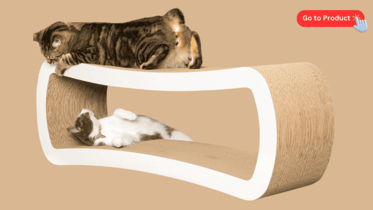 The Secret to Stopping Your Cat From Scratching Your Furniture—What ...