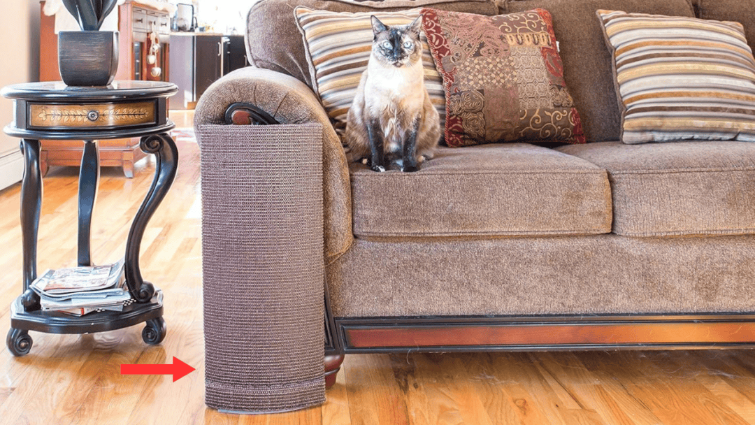 The Secret to Stopping Your Cat From Scratching Your Furniture—What ...