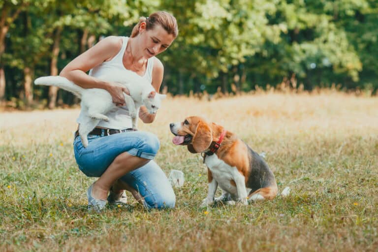 13 Dog Breeds with the Most Loving Personalities - Animals Around The Globe