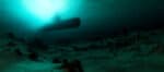 10 Bizarre Creatures Found in the Deepest Parts of the Ocean - Animals ...
