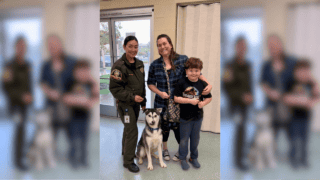 Woman Drives 2,500 Miles to Adopt Husky No One Wanted Because He Was ...