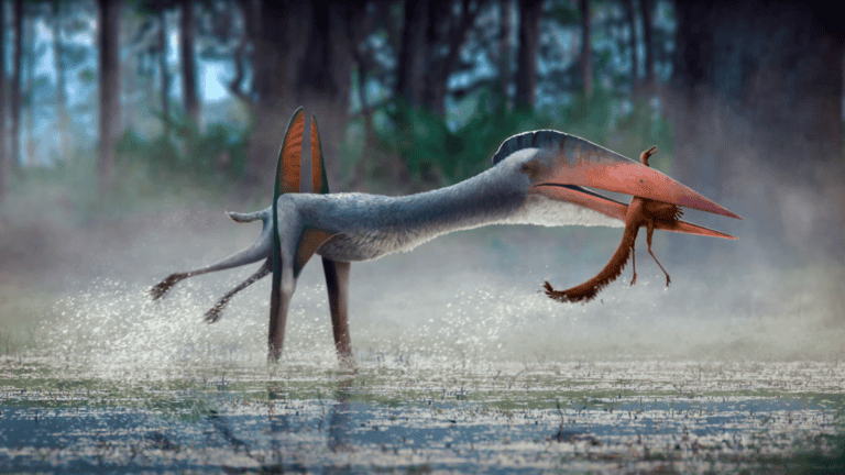 Dracula The Largest Flying Dinosaur From 66 Million Years Ago