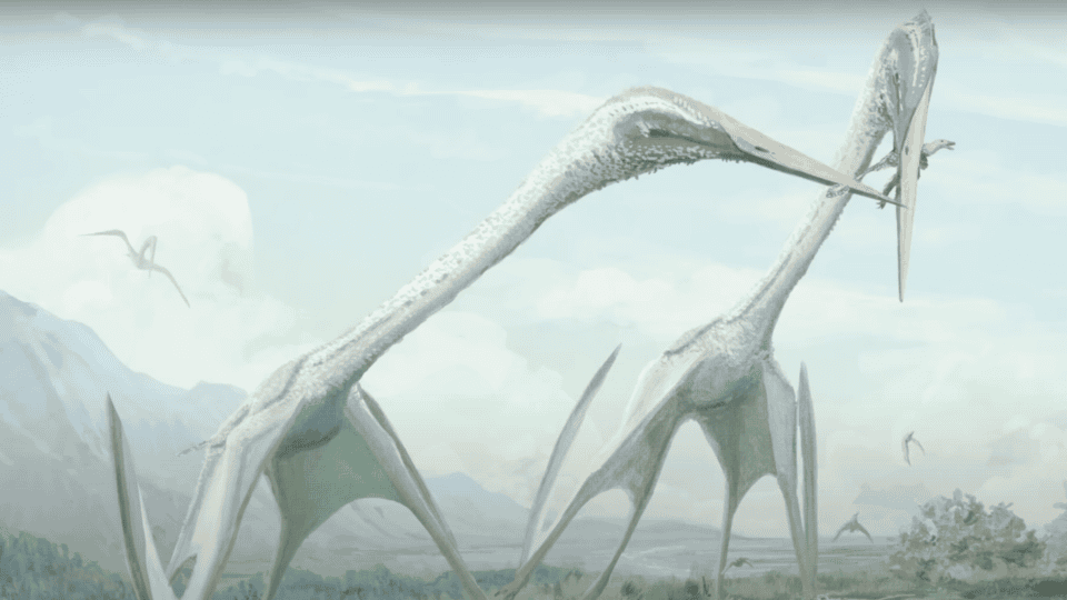 Dracula The Largest Flying Dinosaur From 66 Million Years Ago