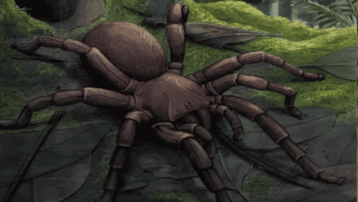 Giant Fossil Spider from Millions of Years Ago Found in Australia