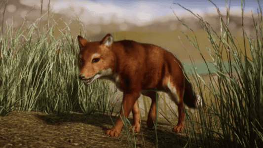 How Paleolithic Dogs Have Been Man's Best Friend Forever