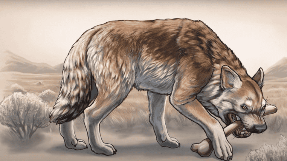 How Paleolithic Dogs Have Been Man's Best Friend Forever