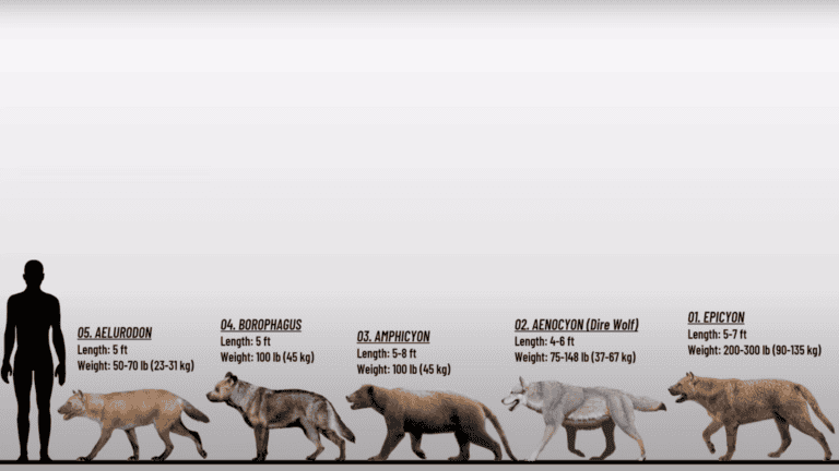 How Paleolithic Dogs Have Been Man's Best Friend Forever