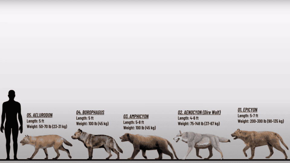 How Paleolithic Dogs Have Been Man's Best Friend Forever