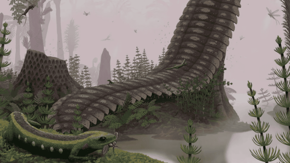 Giant Millipede From 340 Million Years Ago Was The Size Of A Car