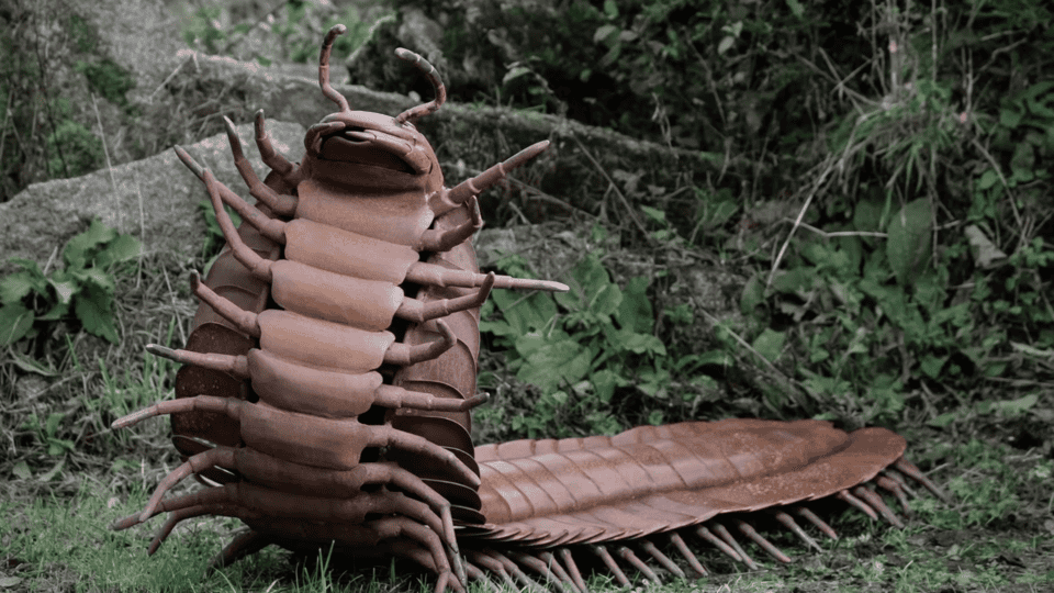Giant Millipede From 340 Million Years Ago Was The Size Of A Car
