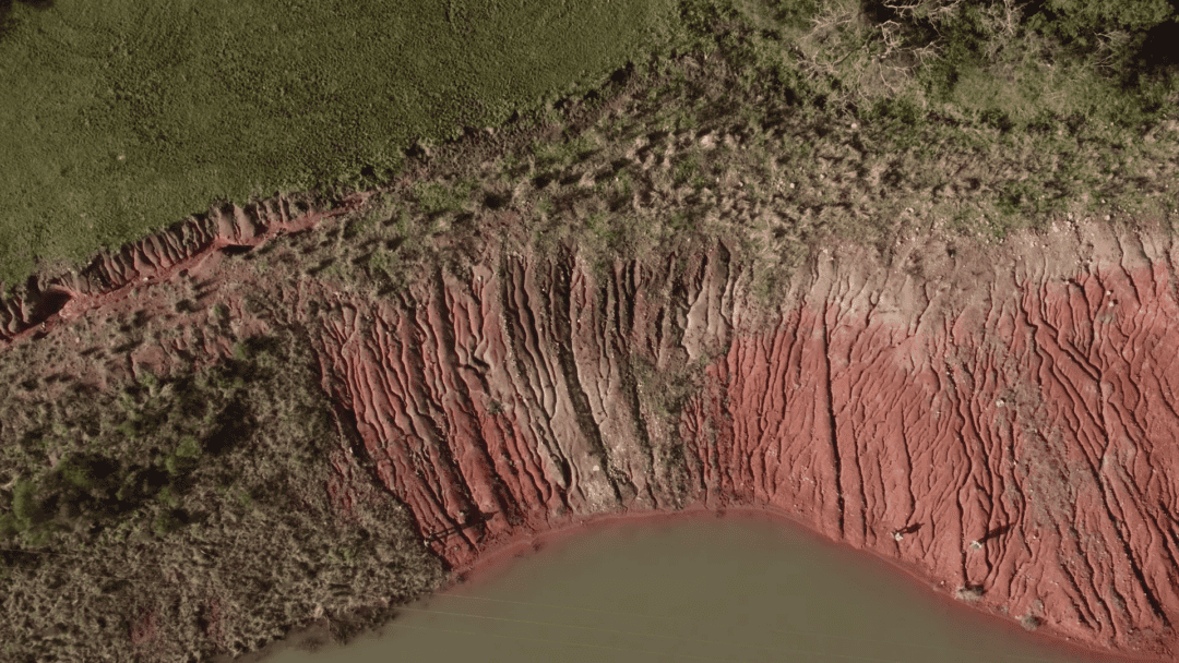 237 Million Year Old Fossil In Brazil Is Older Than Dinosaurs
