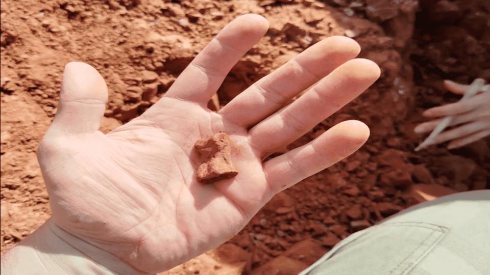 237 Million Year Old Fossil In Brazil Is Older Than Dinosaurs