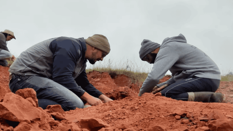 237 Million Year Old Fossil In Brazil Is Older Than Dinosaurs