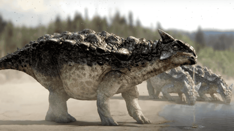 First Complete Dinosaur Fossil Ever Found Finally Makes History
