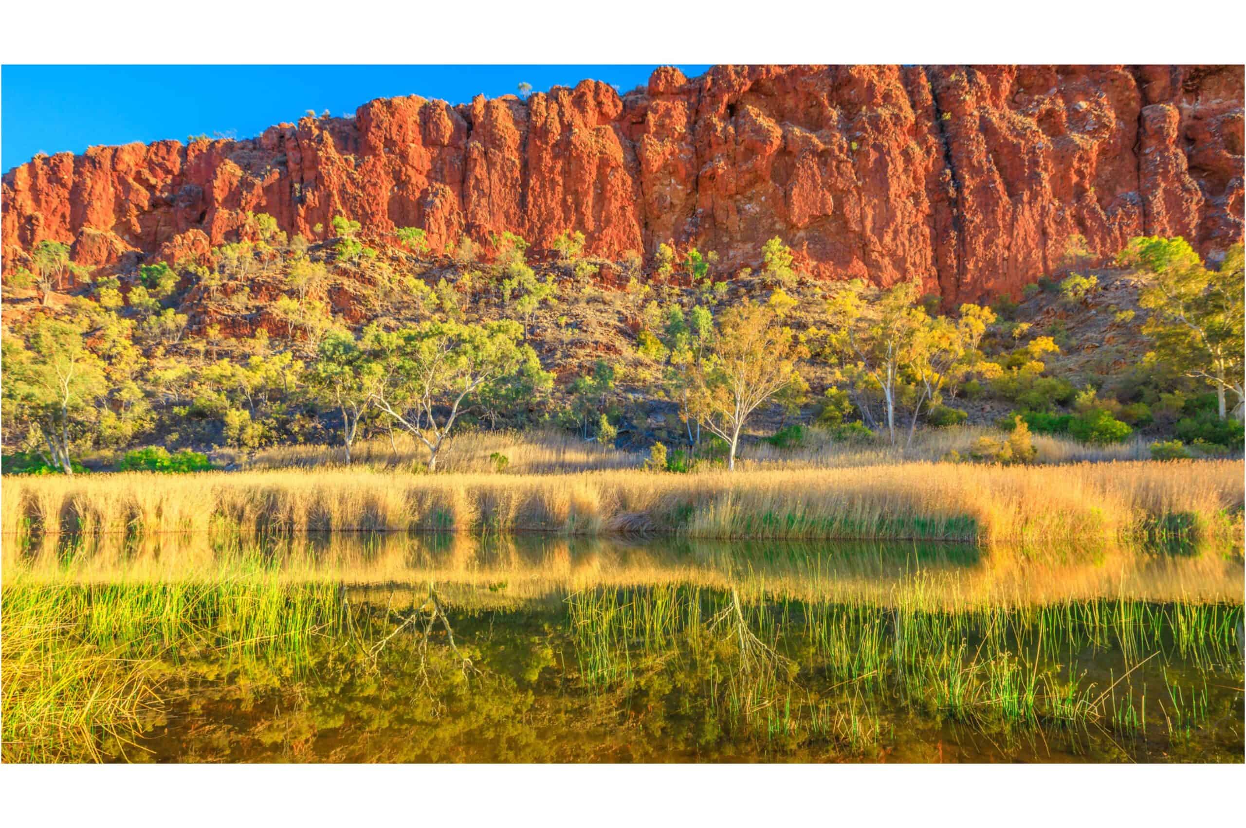 The Oldest River In The World Is Over 350 Million Years Old - Animals ...