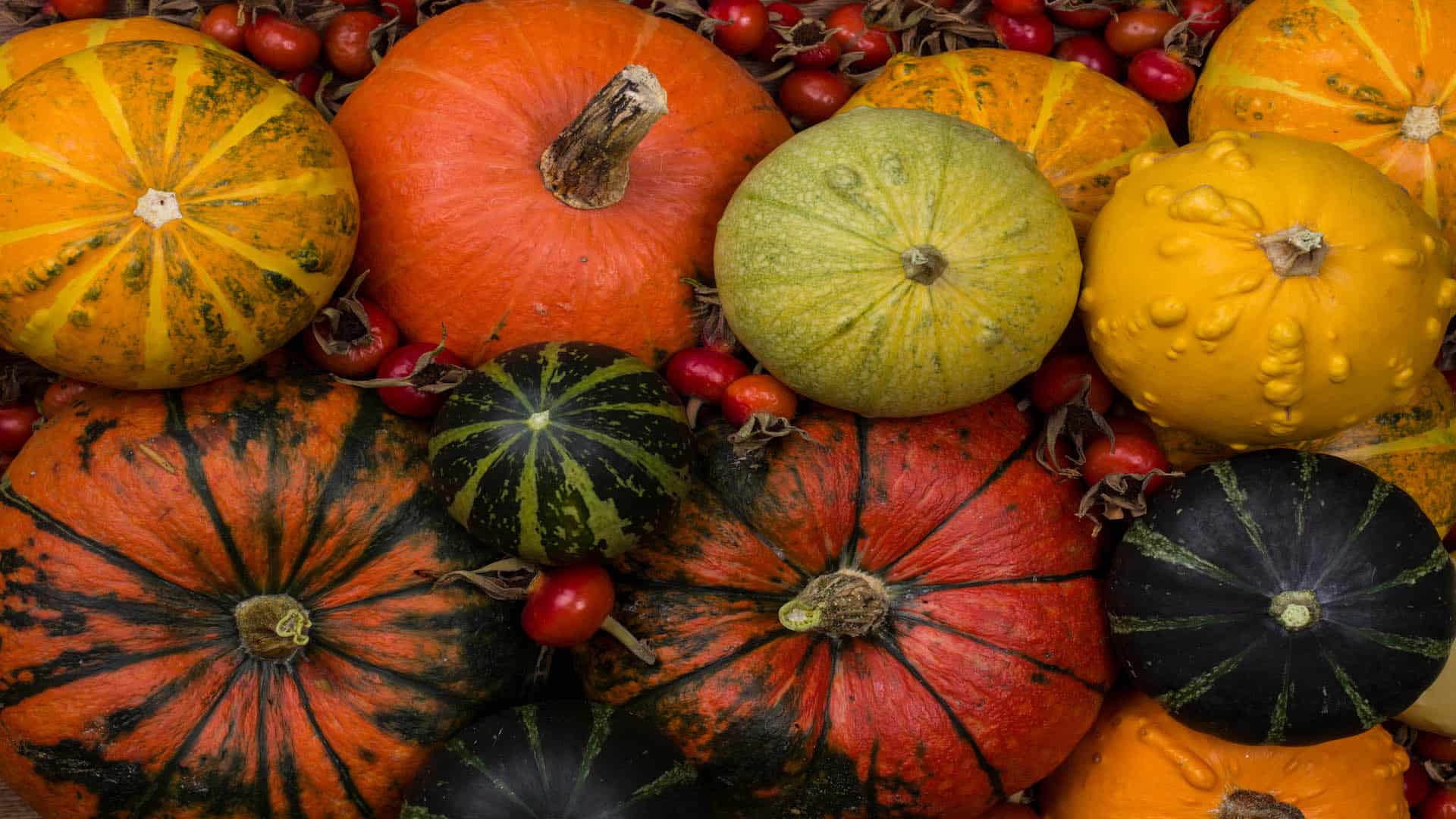 Iconic Autumnal Plants That Make The Season Magical