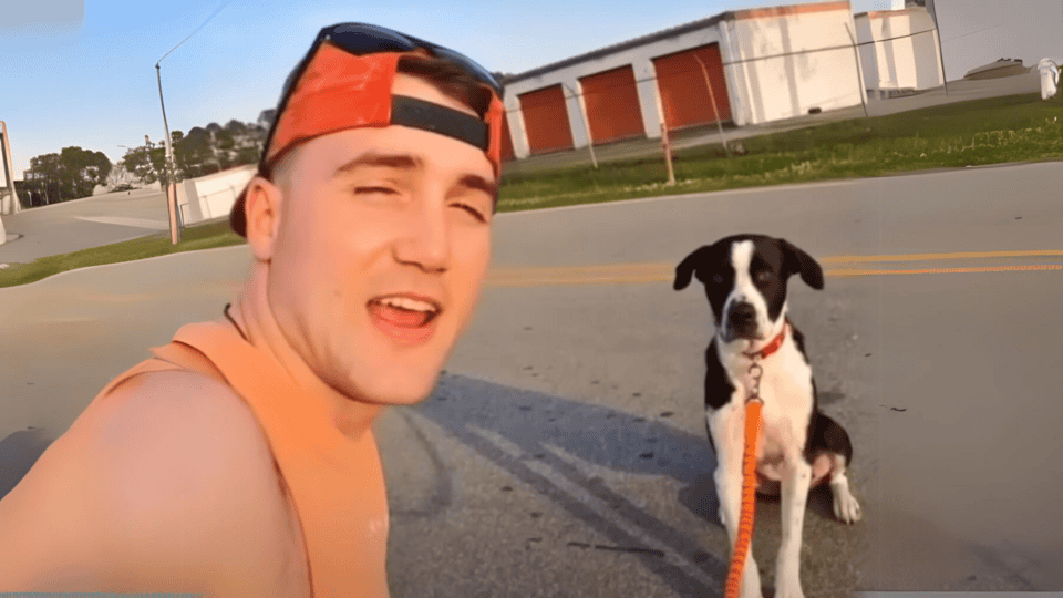 trending-animal-videos-animals-around-the-globe