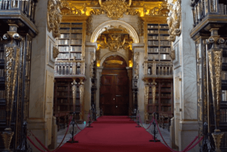 The Fascinating Story of Bats Preserving the Treasures of Joanina ...