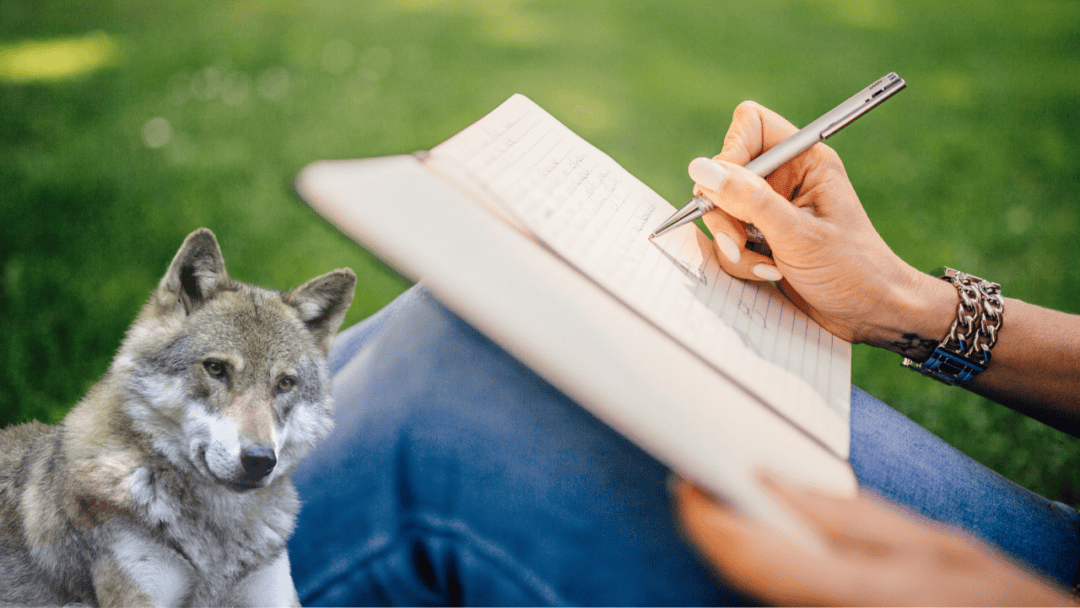 How to Find Your Spirit Animal: A Step-by-Step Guide - Animals Around ...