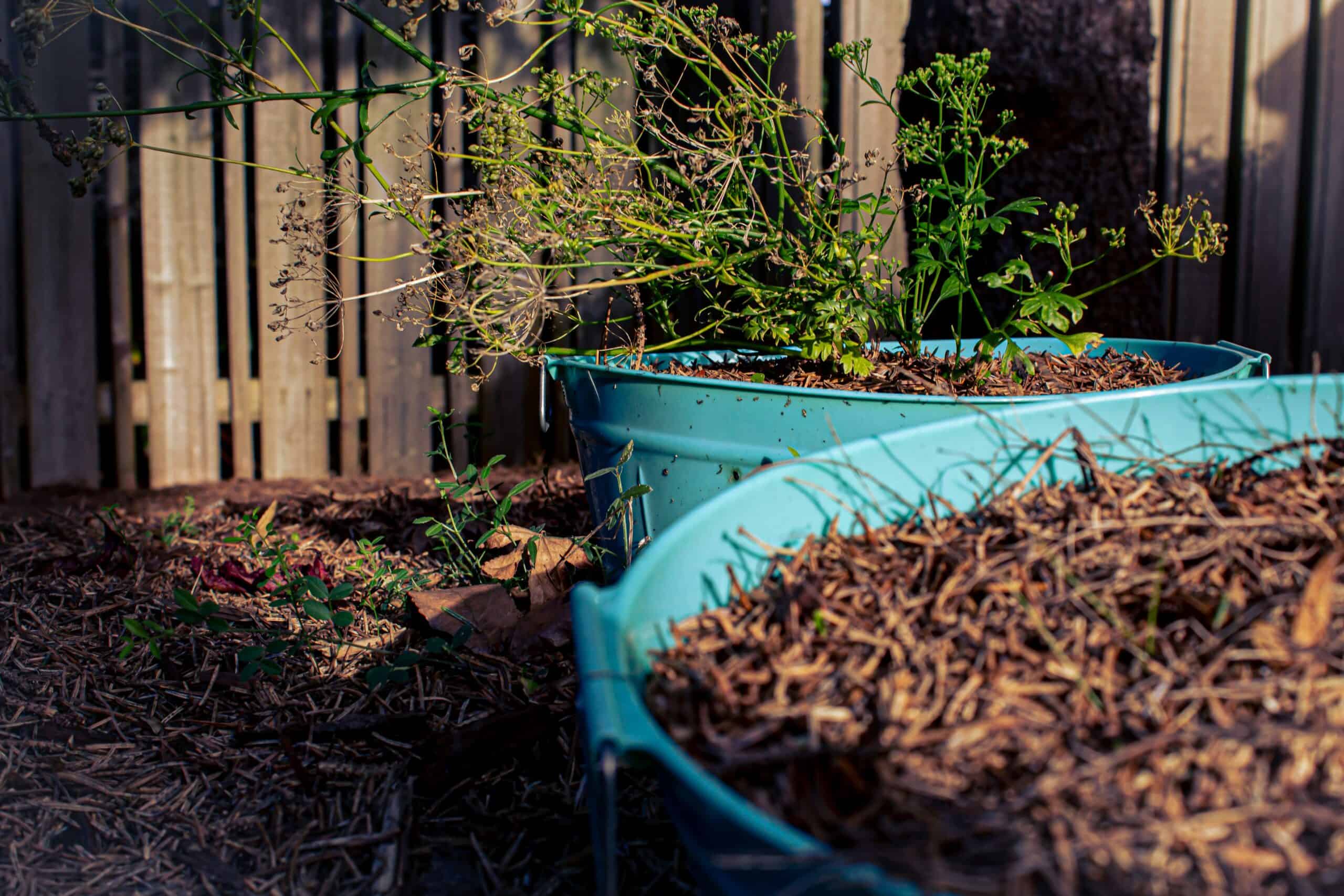 How to Protect Outdoor Plants During Freezing Temperatures - Animals ...