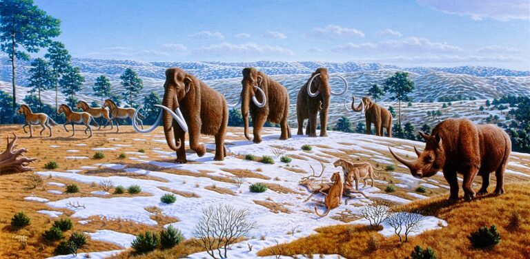 This Ice-Age Mammal Was Just Unearthed in North Dakota - Animals Around ...