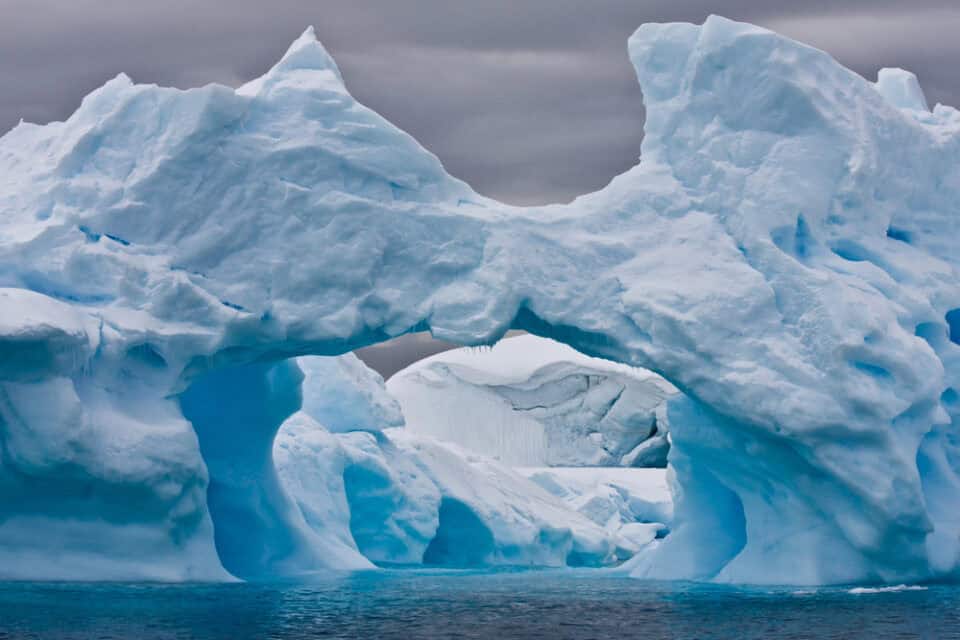The Giant Ice-Age Predators That Dwarfed Today’s Wildlife