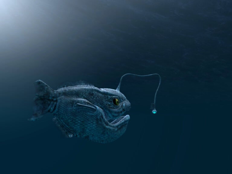 10 Bizarre Creatures Found in the Deepest Parts of the Ocean - Animals ...
