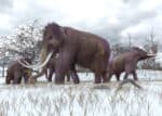 The Giant Ice-Age Predators That Dwarfed Today’s Wildlife
