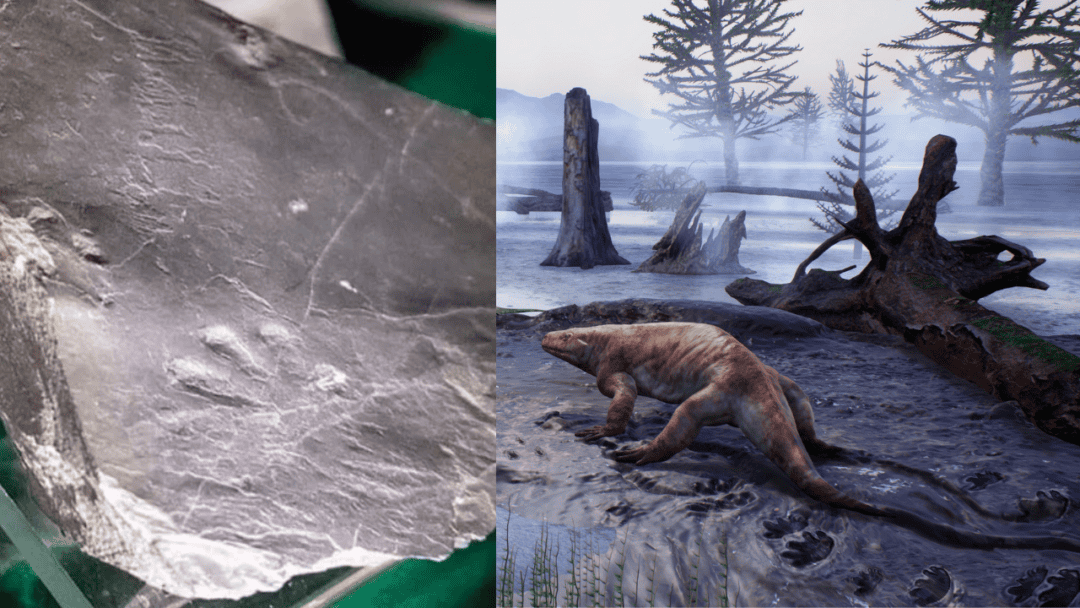 Hiker Discovers Prehistoric Ecosystem in the Italian Alps Older Than ...