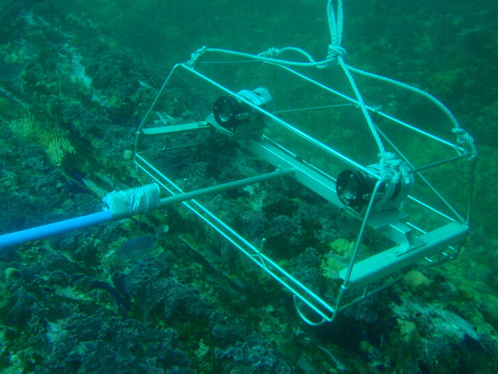 A Boost for Marine Ecosystems with Artificial Reefs - Animals Around ...