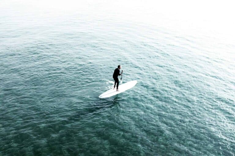 13 Steps on How to Paddleboard with Your Dog - Animals Around The Globe