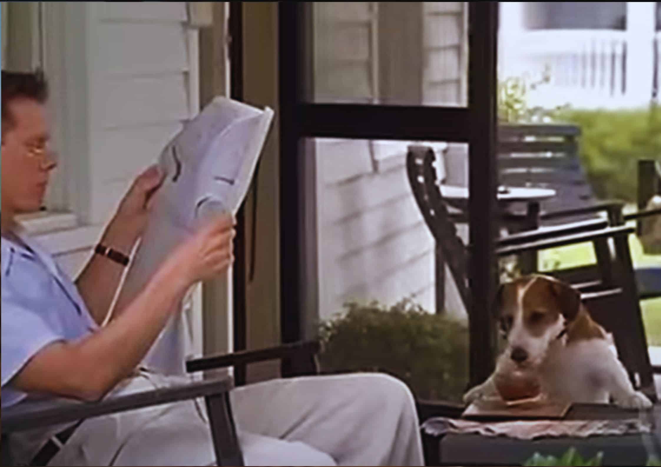 The 8 Best Dog Movies of All Time for Ultimate Furry Feels